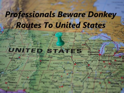 Beware of Illegal Deportation: A Guide for Indian Professionals Against ...